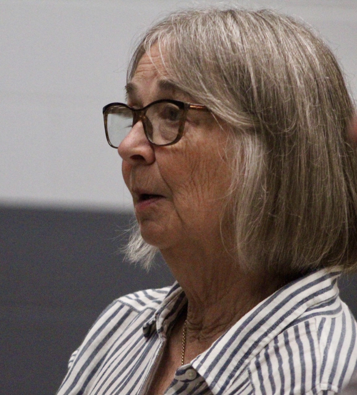 Wickmark plans write-in campaign for Cassadaga mayor | News, Sports ...